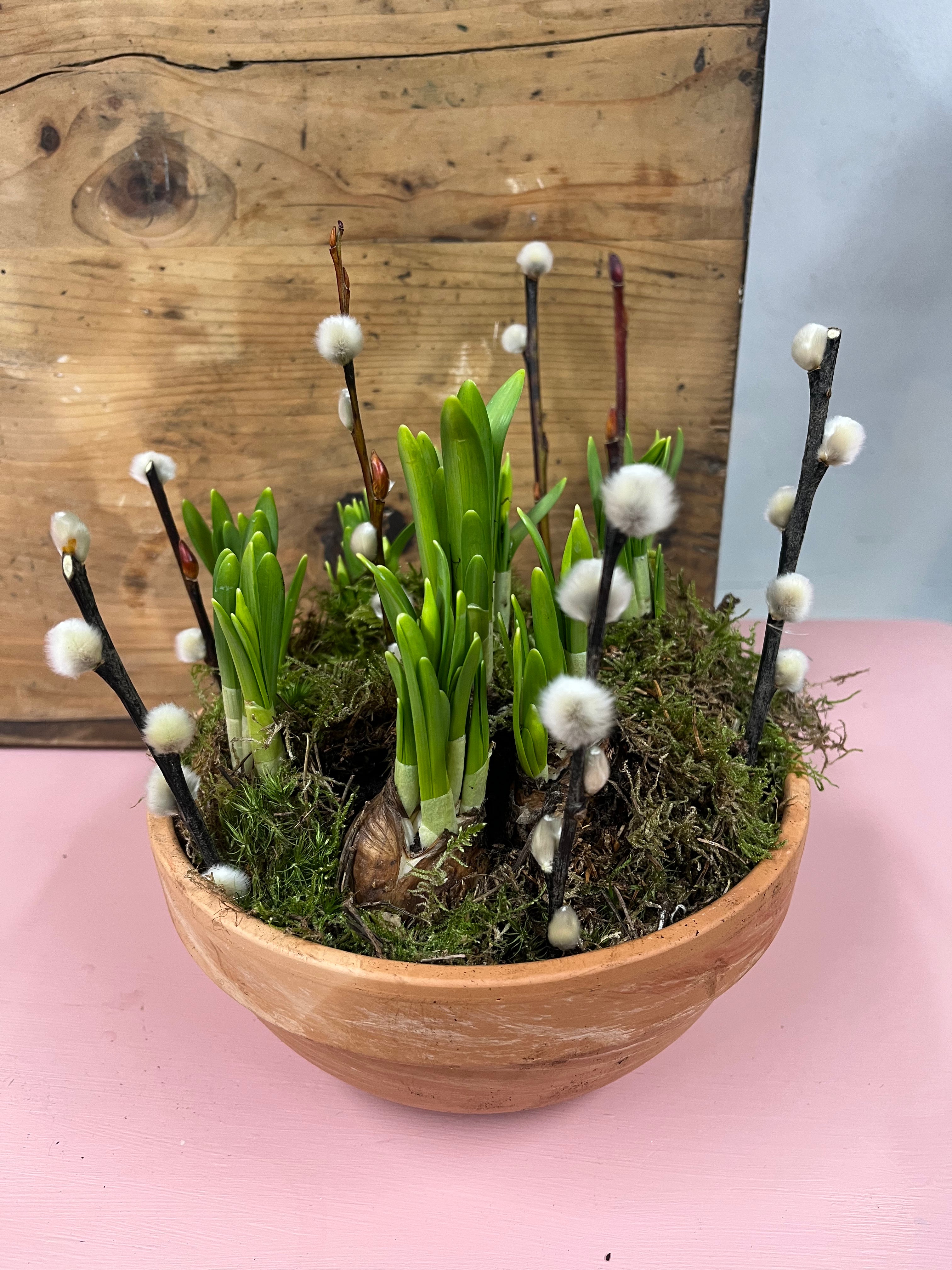Terracotta Spring bulb bowl – Eden Wild